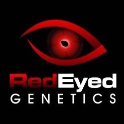 RED EYE GENETICS - Oregon Elite Seeds