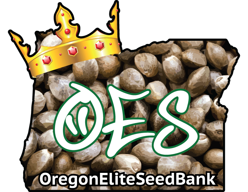 NIGHT OWL SEEDS - Oregon Elite Seeds